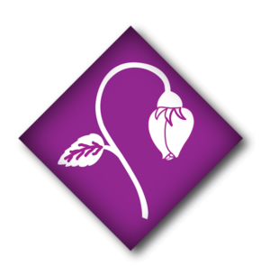 ACD Plus Drops – RG Pharmaceutica